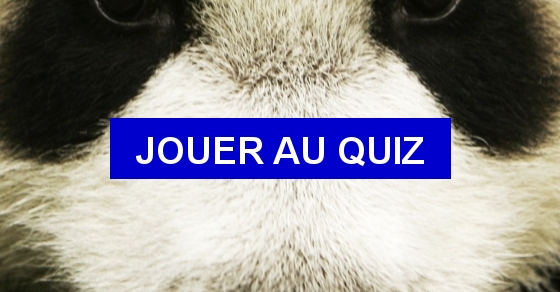 Quiz Animaux : Qui suis-je