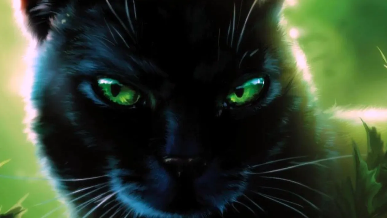 Quiz Mes couples préférés de LGDC - La guerre des clans