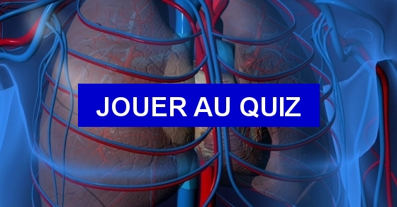 Quiz Le corps humain
