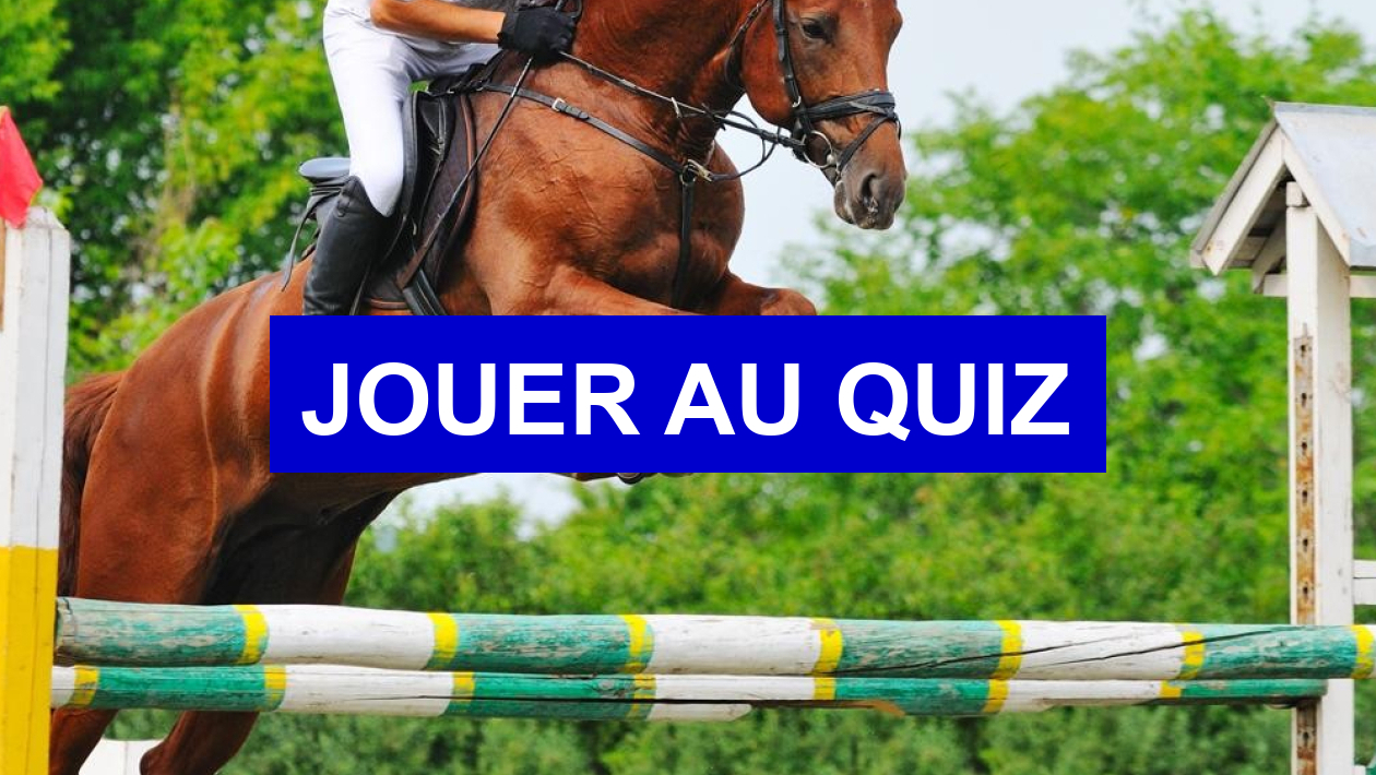 Quiz Grand Galop - Equitation