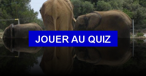 Quiz Es-tu fan d''Une saison au zoo'