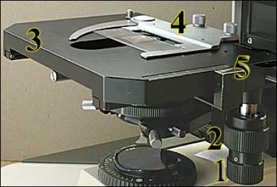 Quiz SVT - Le microscope - Science