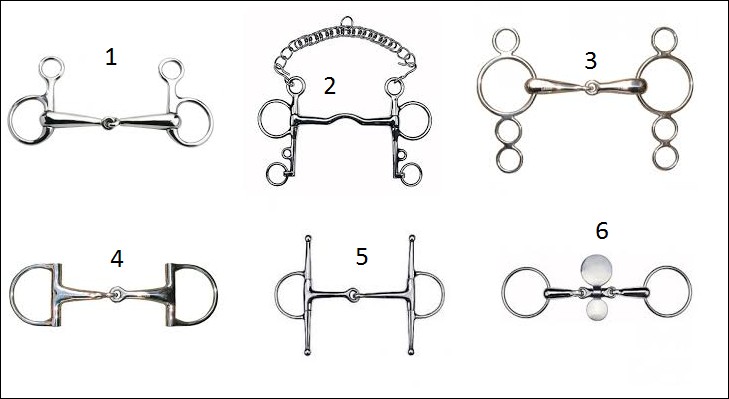 Quizz QCM galop 4 FFE (1) - Quiz Chevaux, Galop 4