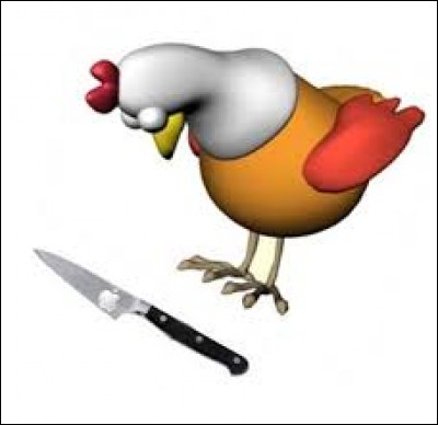 Quiz La poule dans les expressions ! - Poules