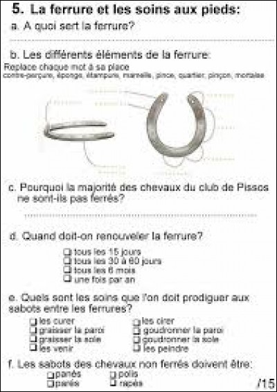 Quiz QCM Galop 4 FFE (2) - Equitation