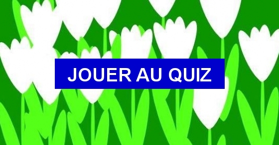 Quiz Vocabulaire anglais