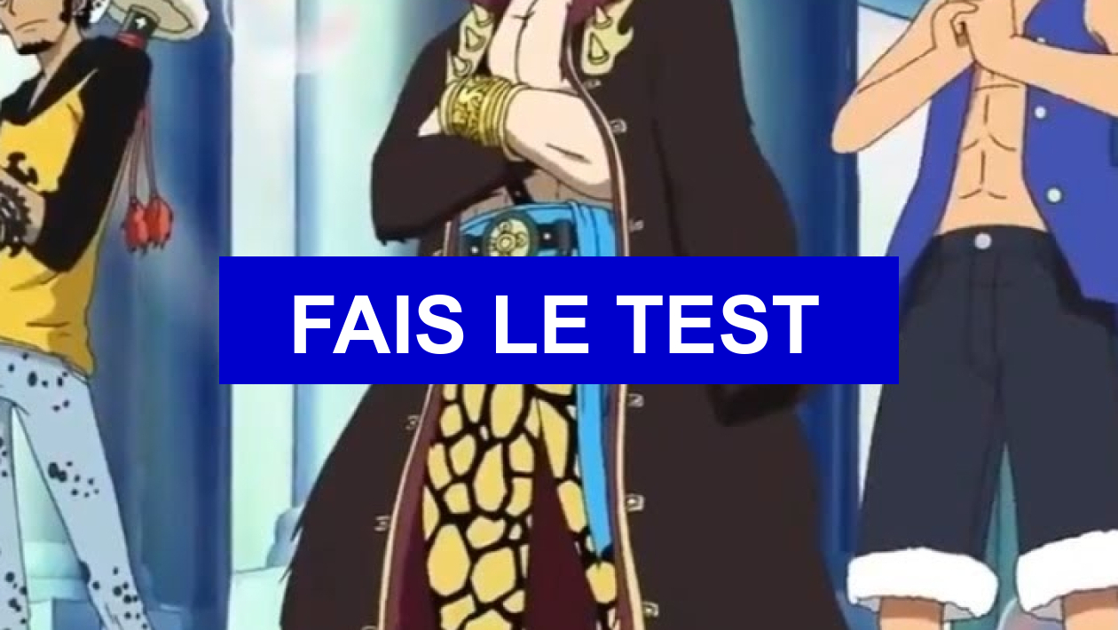 Le test « One Piece » le plus complet