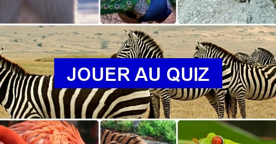 Quiz Unité et diversité des êtres vivants - Sciences