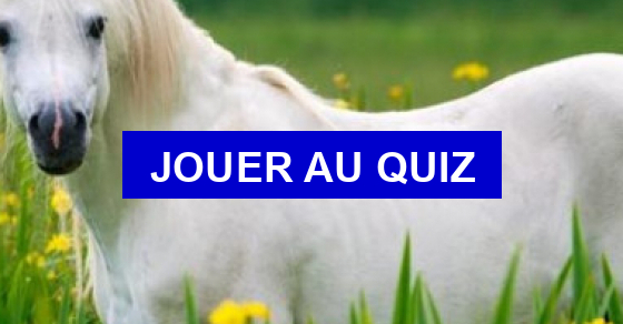Le quizz des 3-4 ans - Enfants