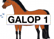 Quiz Galop 1 - Equitation