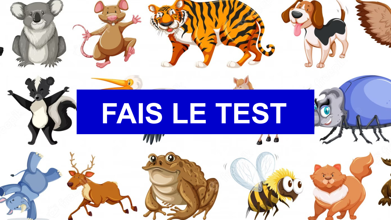 Test de personnalité Quel animal es-tu