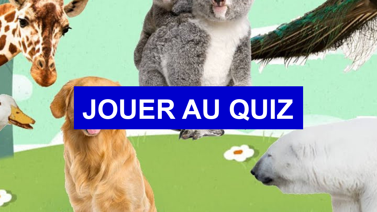 Test de personnalité Quel est ton animal totem