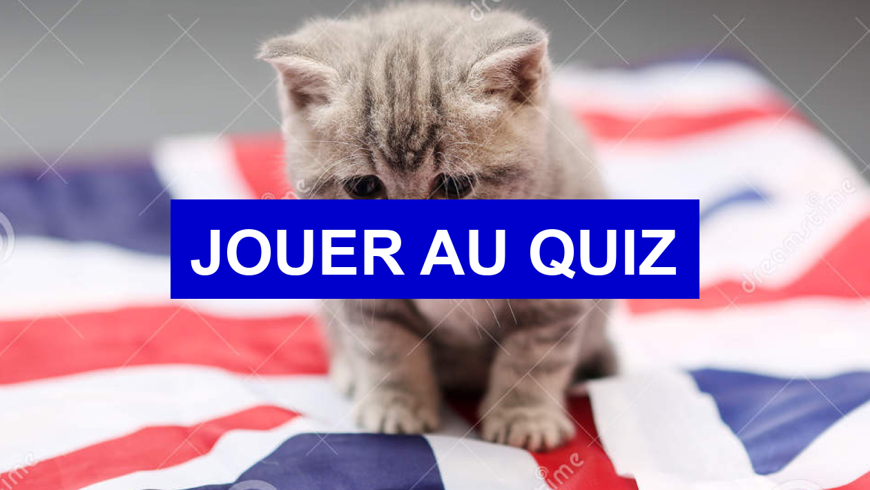 Quiz Quel est ton niveau en anglais ? - Langues étrangères