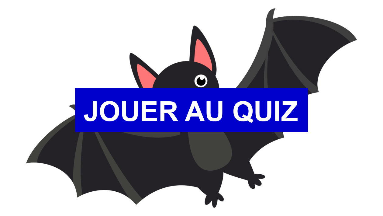 Quiz Chauve-souris