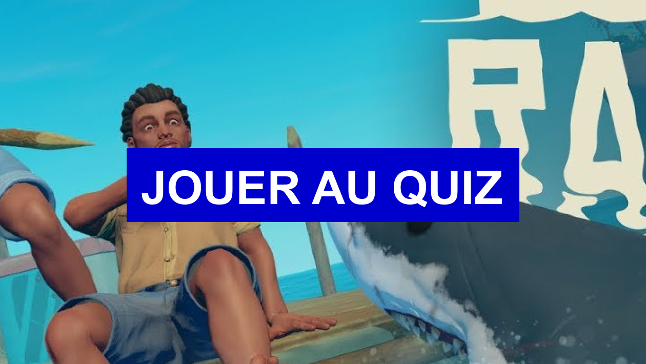 Quiz Raft - Jeux vidéo