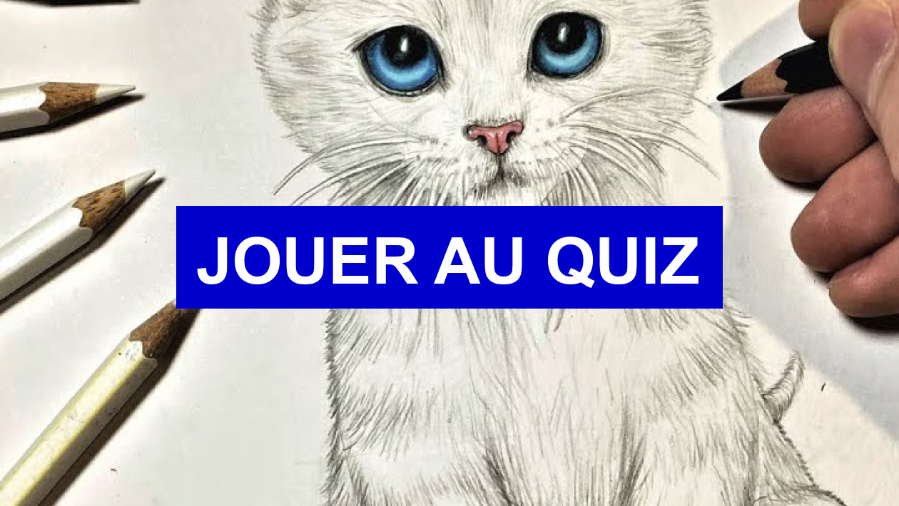 Quiz Un dessin = un félin - Felins, Animaux