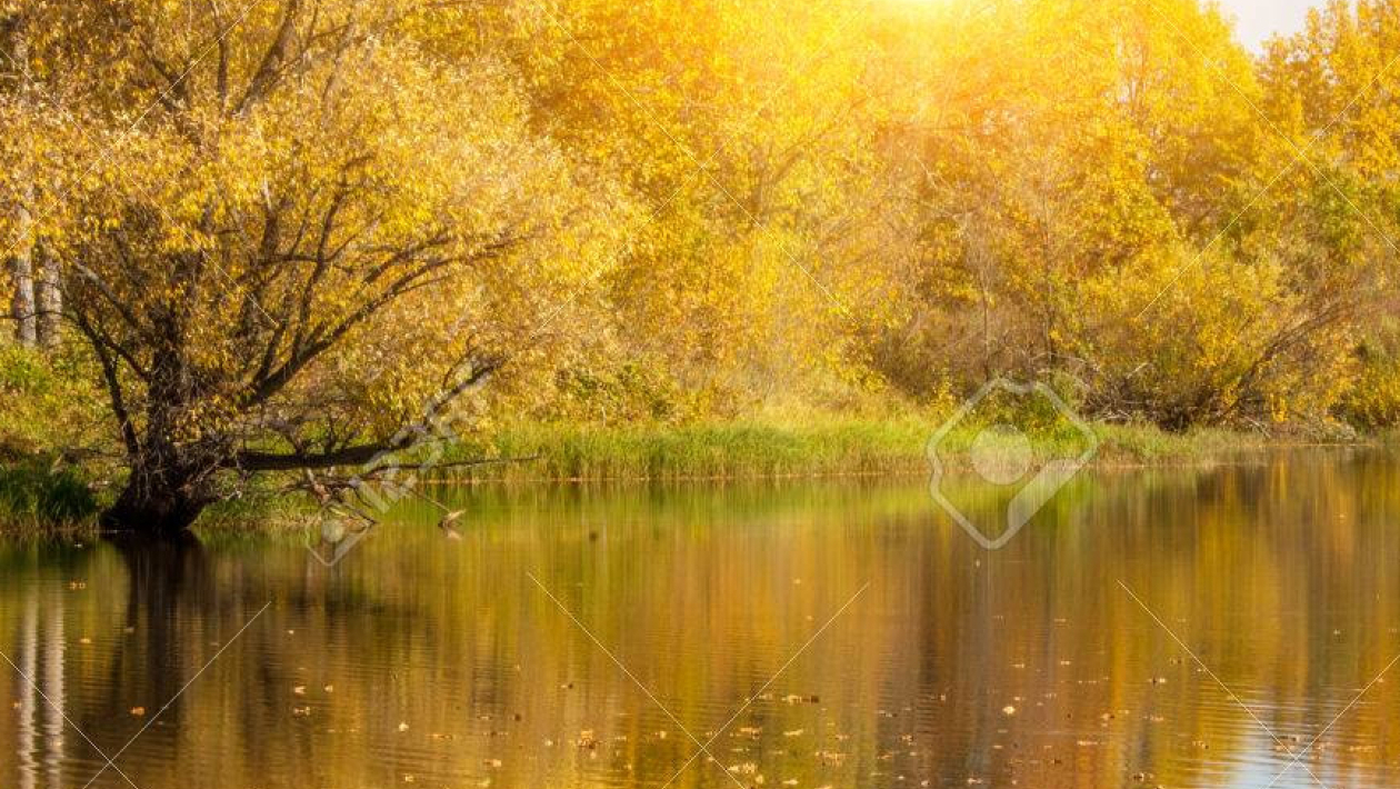 Quiz Une capitale, un pays - Capitales