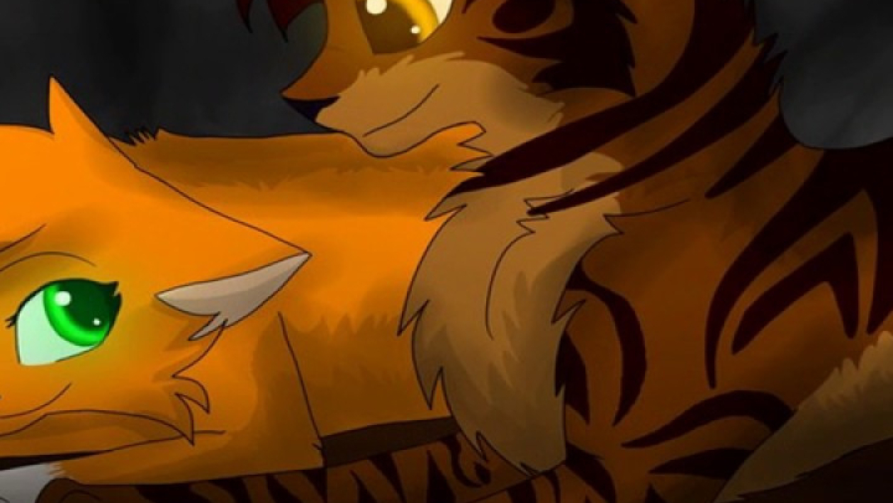 Quiz Les couples dans ''la Guerre des Clans'' - Enfants