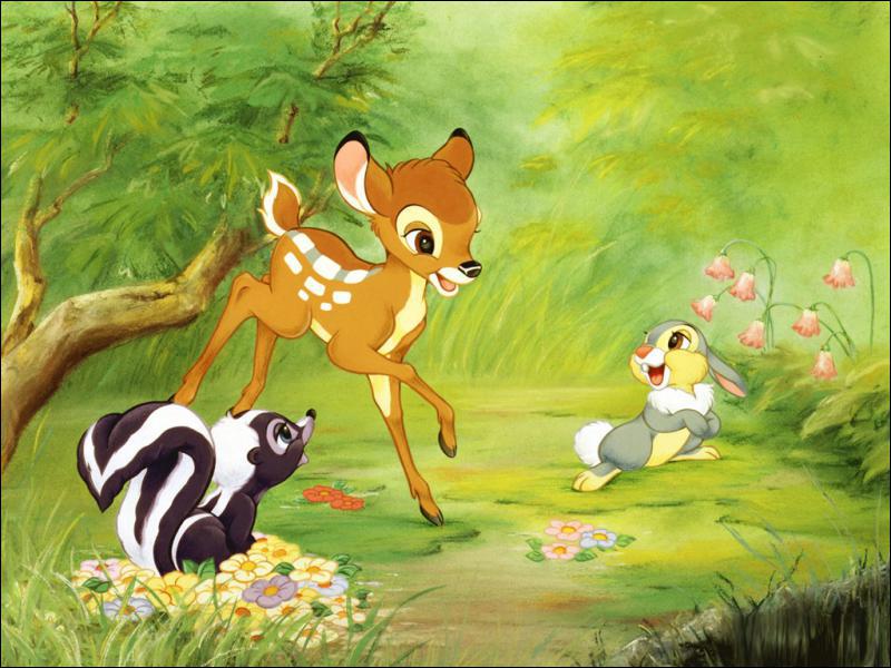 Quiz Walt Disney Films Quiz Walt Disney Films
