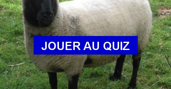 Quiz Les animaux de la ferme