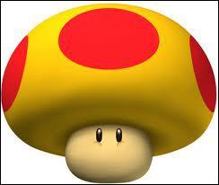 Quiz Les champis de Mario - Mario bros