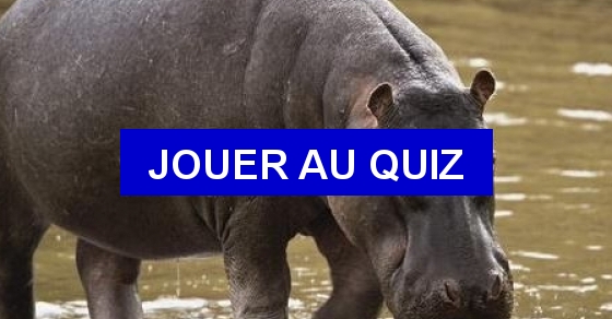 Quiz Les animaux sauvages (2)
