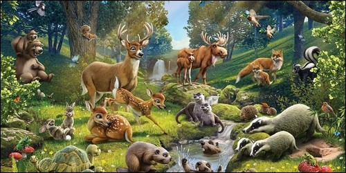 Quizz Les animaux de la forêt (1) - Quiz Animaux