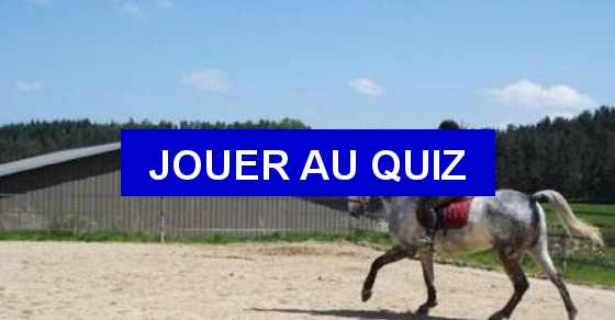 Quiz Passe ton galop 4 ! - Ffe, Chevaux, Equitation