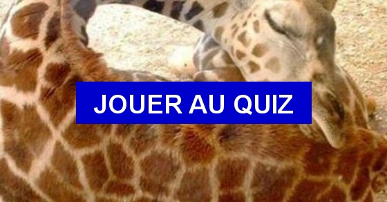 Quiz Les animaux