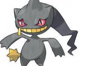 Quiz Pokémon Gris