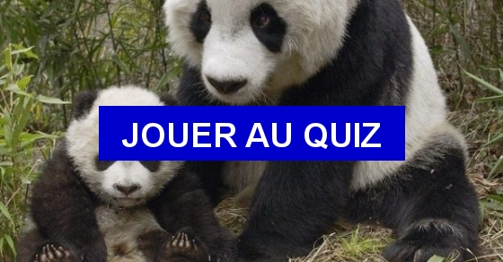 Quizz Les animaux - Quiz Animaux