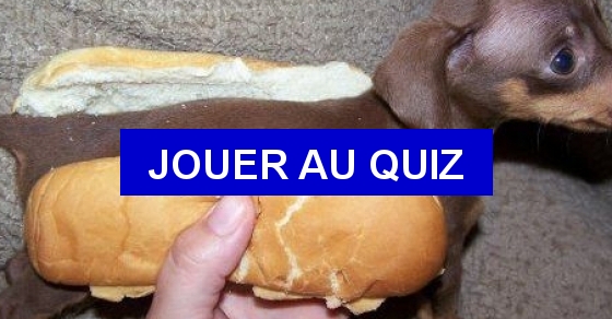 Drôle de Quizz. N°2 - Quiz Culture generale, Photos, Humour
