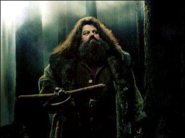 Quiz La biographie complète de Hagrid (Harry Potter)