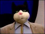 Quiz Chats stars - Celebrites