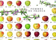 Quiz La pomme, fruit de l'automne... - Fruits