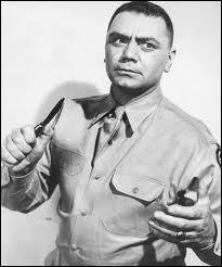 Quiz Les seconds rôles : Ernest Borgnine - Cinéma