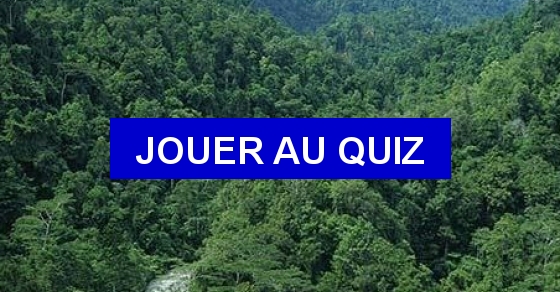Quizz Les pays sur plusieurs continents - Quiz Continents