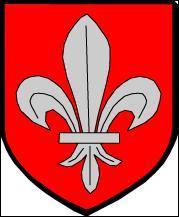 Quiz Armoiries des grandes villes françaises - Blason