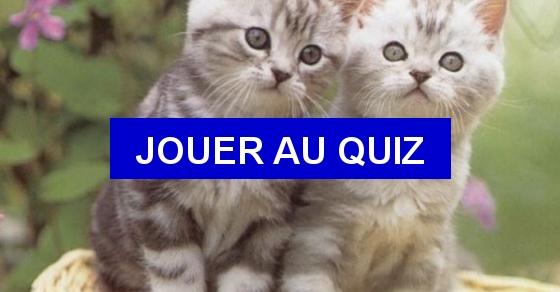 Quizz Les animaux - Quiz Animaux