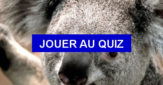 Quiz Les animaux