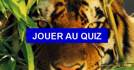 Quiz Les animaux (pour enfants)