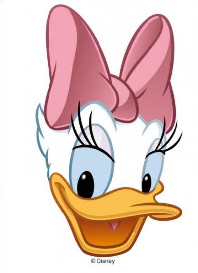 Quiz Donald et ses amis - Disney