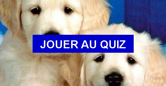 Quiz Les animaux