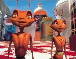 Quiz Les insectes dans les dessins animés