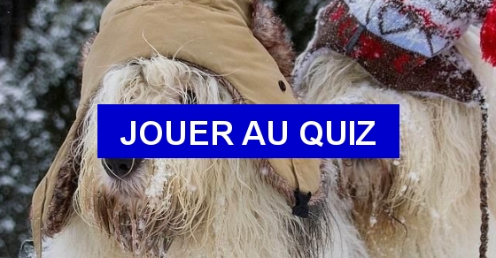 Quiz Les animaux pour tous