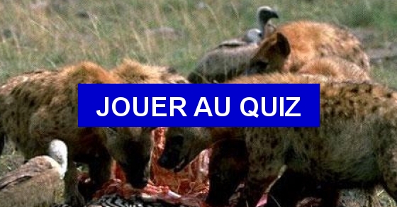 Quizz Les animaux de la savane - Quiz Animaux, Sauvages, Savane