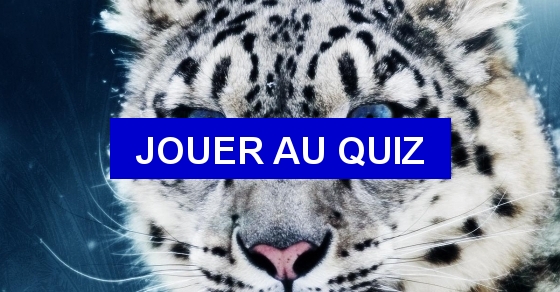 Quizz Un nouveau regard sur les animaux - Quiz Animaux, Photos