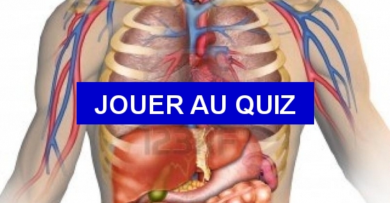 Quiz Le corps humain