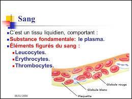 Quiz Cardiologie et soins infirmiers 4 - Santé