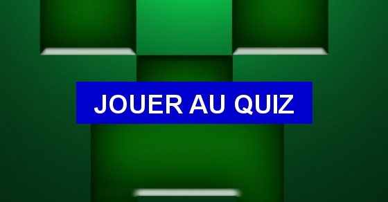 Minecraft - Permis de survie. Quiz QCM Minecraft
